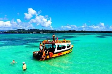 Explore Tobago Tours | Best Guided Tours in Tobago| Ultimate Experience TT